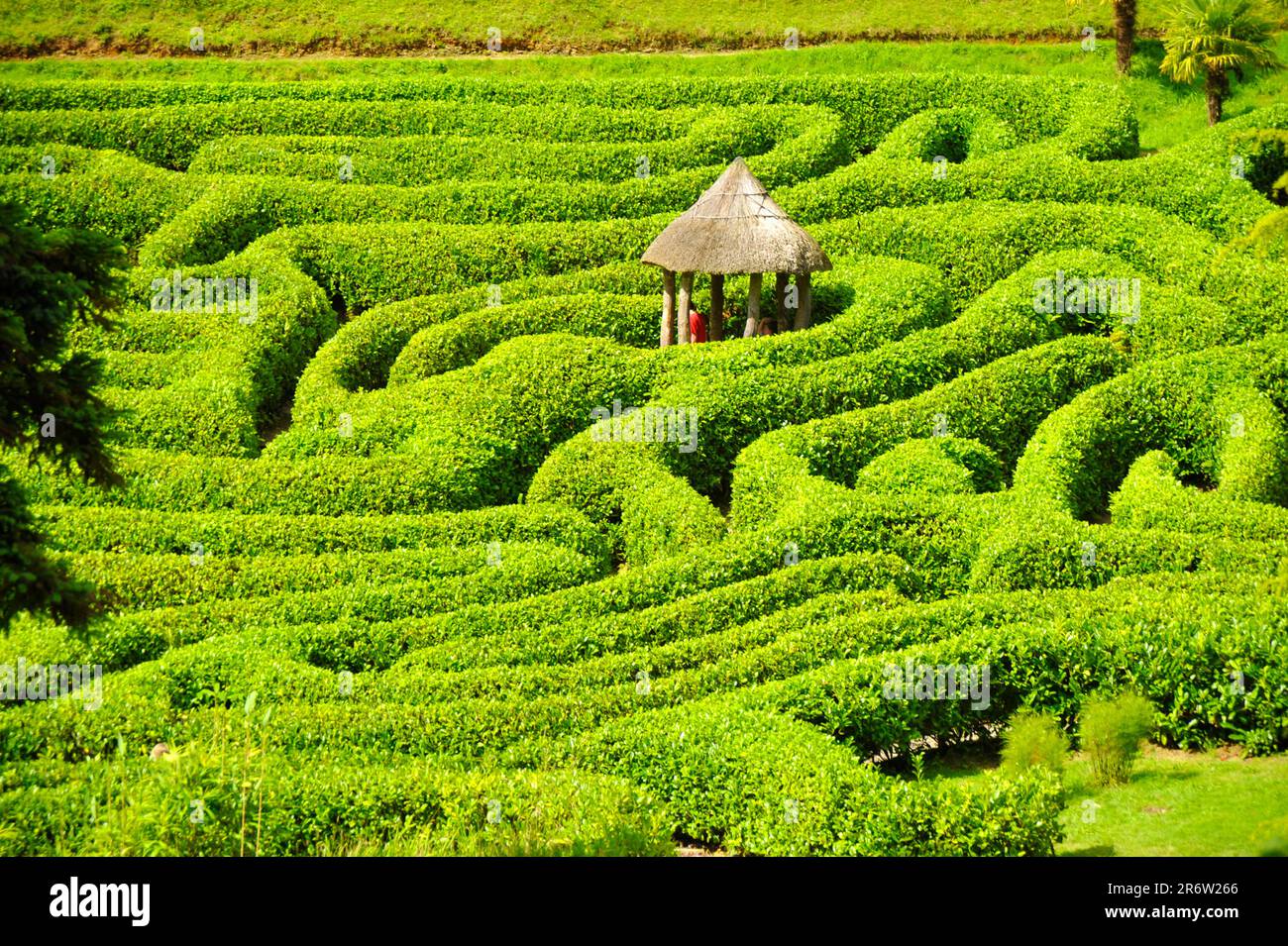 Labyrinth, Glendurgan Garden, Falmouth, Cornwall, England, United ...