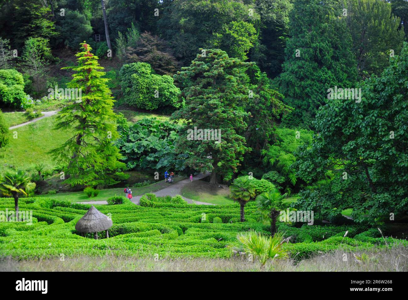 Labyrinth, Glendurgan Garden, Falmouth, Cornwall, England, United ...