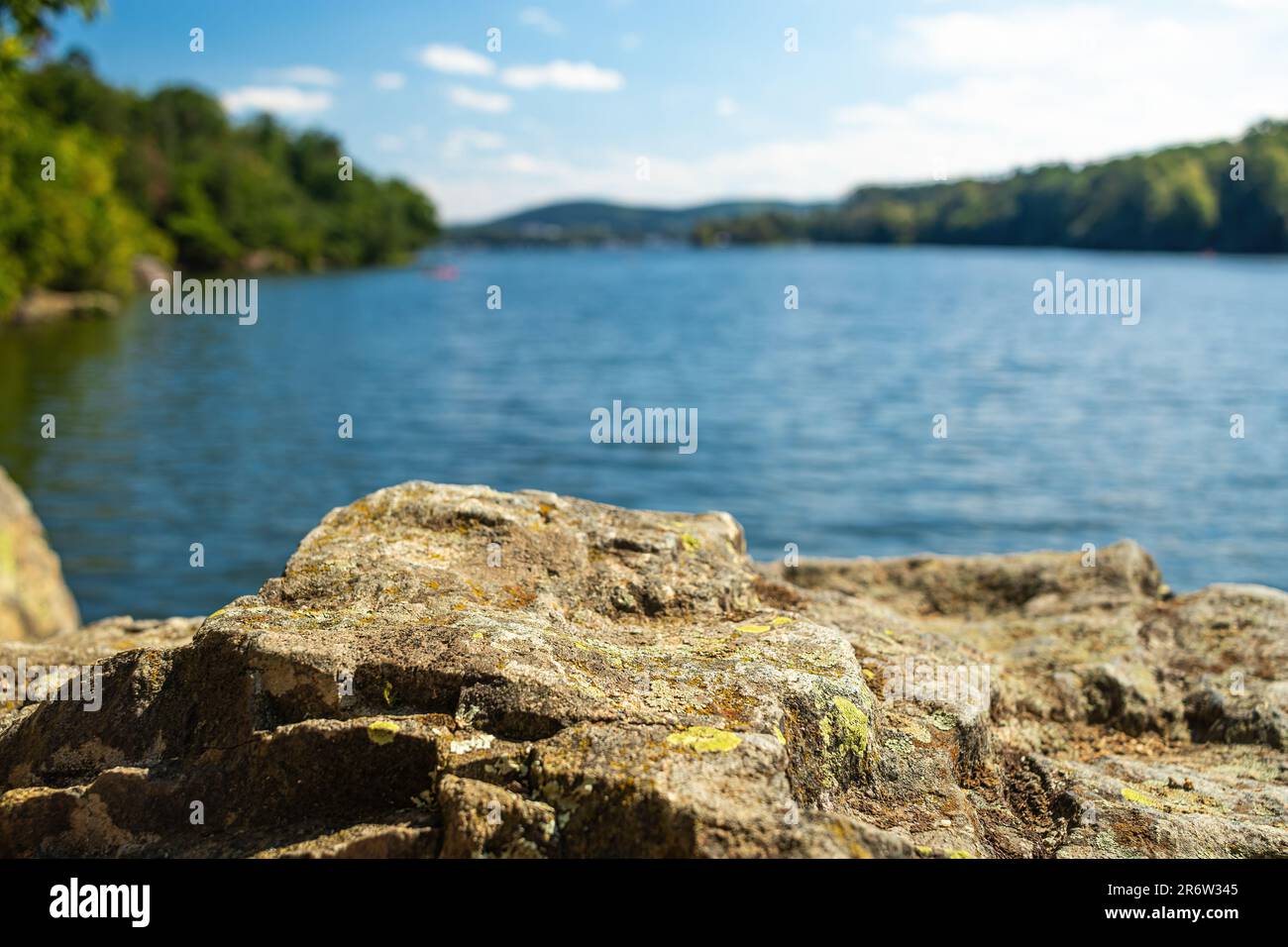 Panorama of a natural body of water in a forest landscape. Brno ...