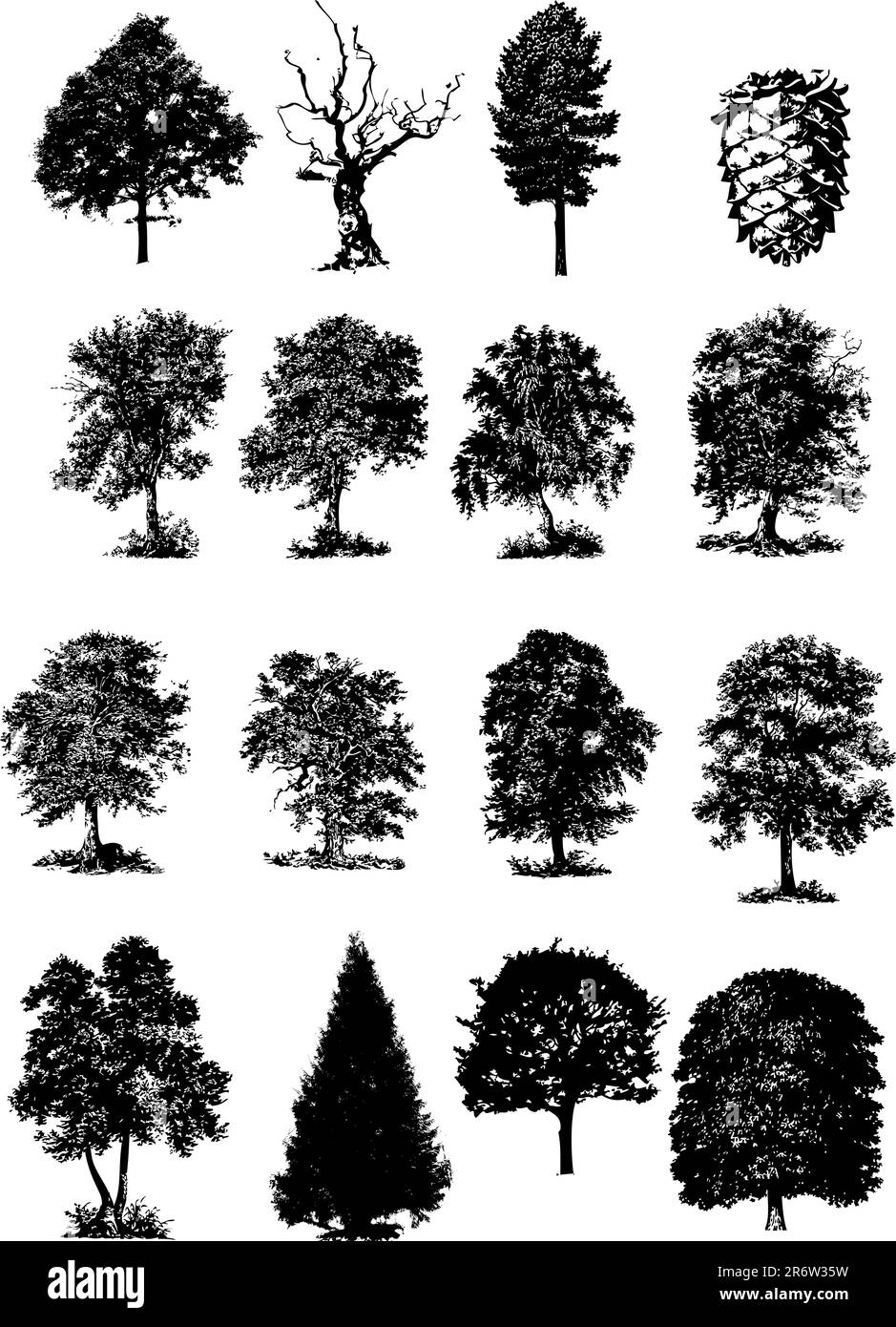vector illustration of trees black silhouettes Stock Vector Image & Art ...