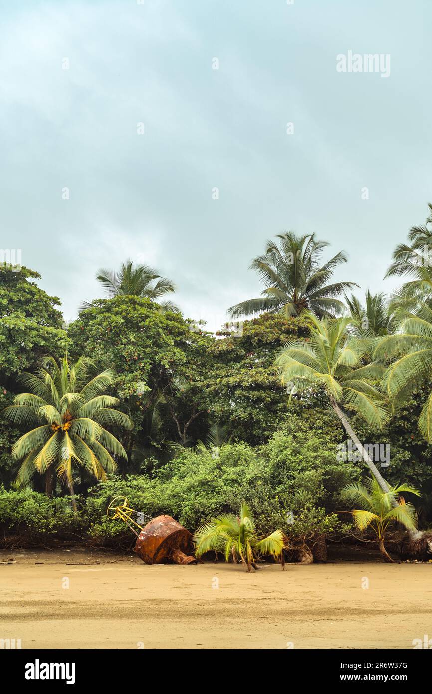 Lush jungle vegetation embraces a stunning Costa Rican beach. The ...