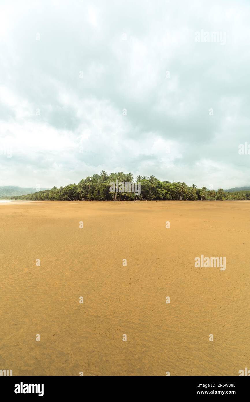 Shoreline creates hi-res stock photography and images - Alamy