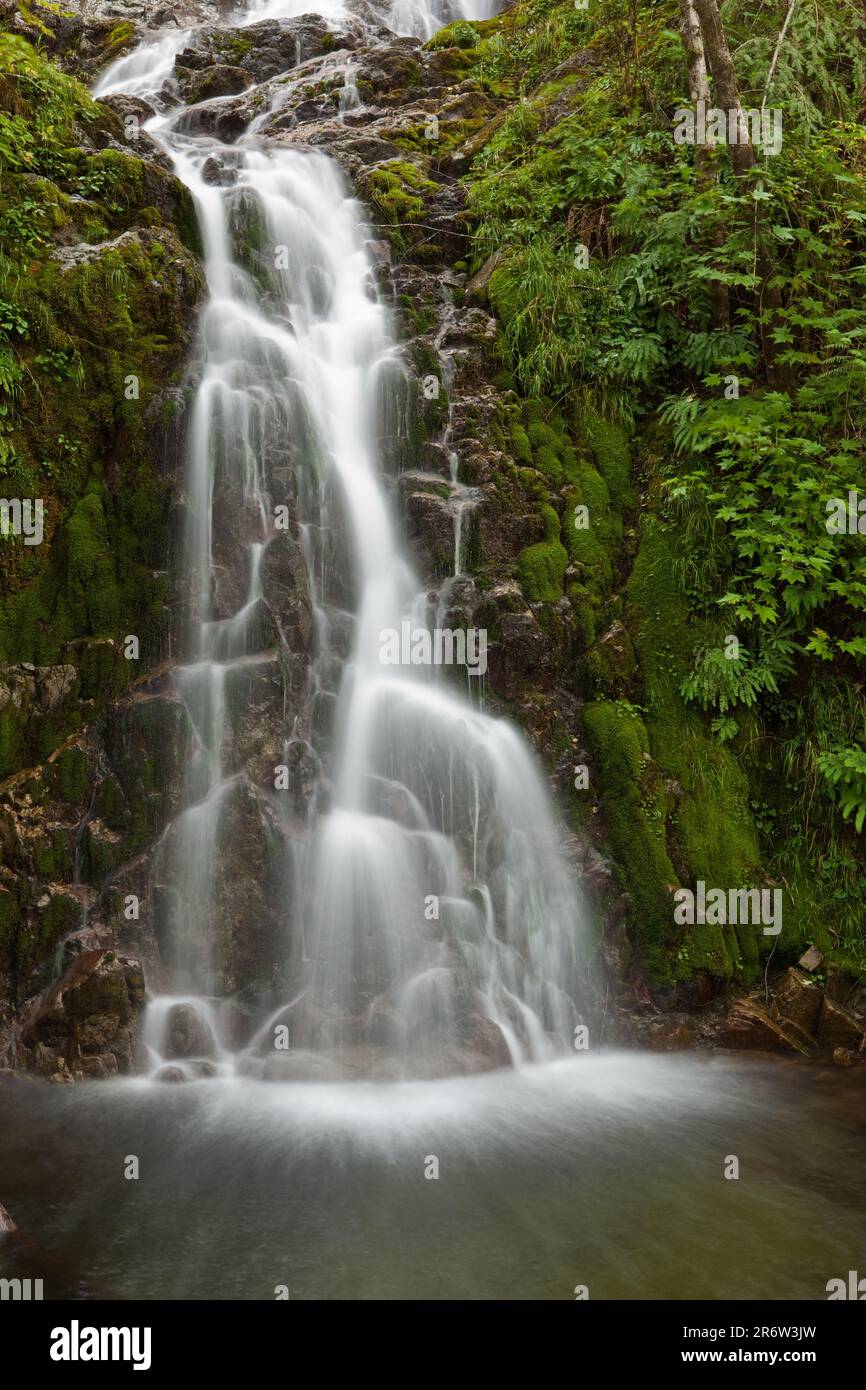 Port alice hi-res stock photography and images - Alamy