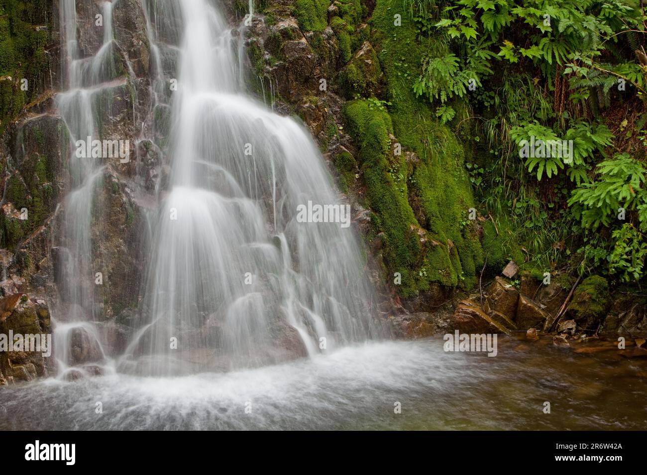 Port alice hi-res stock photography and images - Alamy
