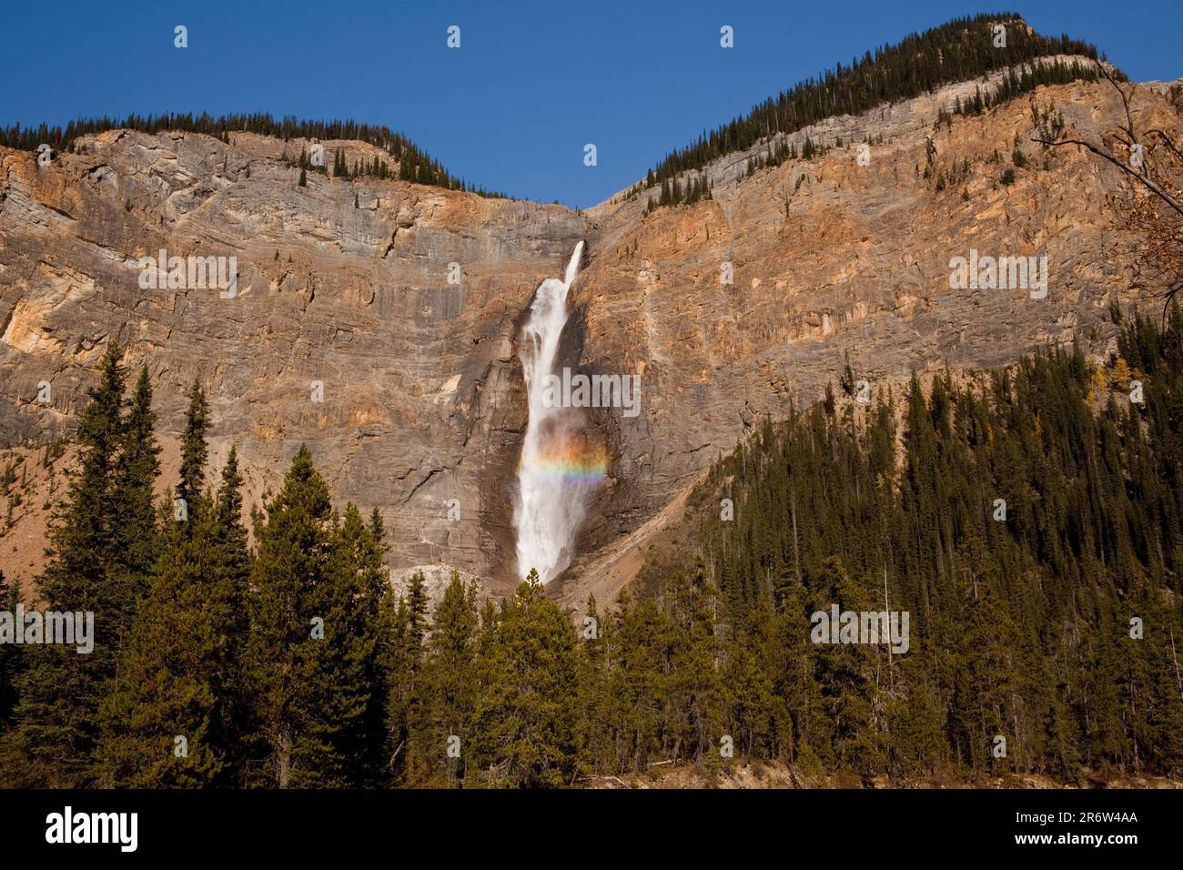British natural park hi-res stock photography and images - Alamy