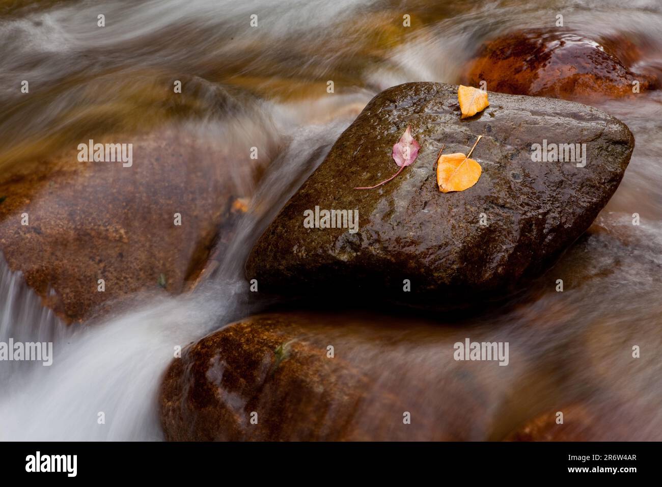 Icefield parkway jasper national park hi-res stock photography and ...