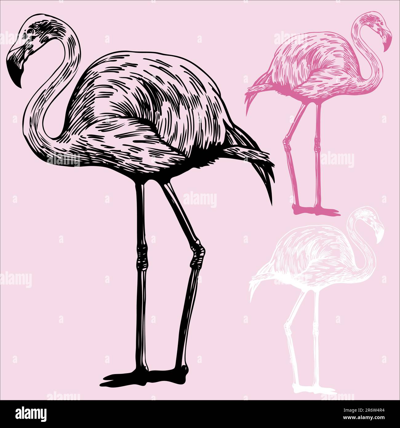 Sketch of a flamingo bird on a light pink background with color options ...