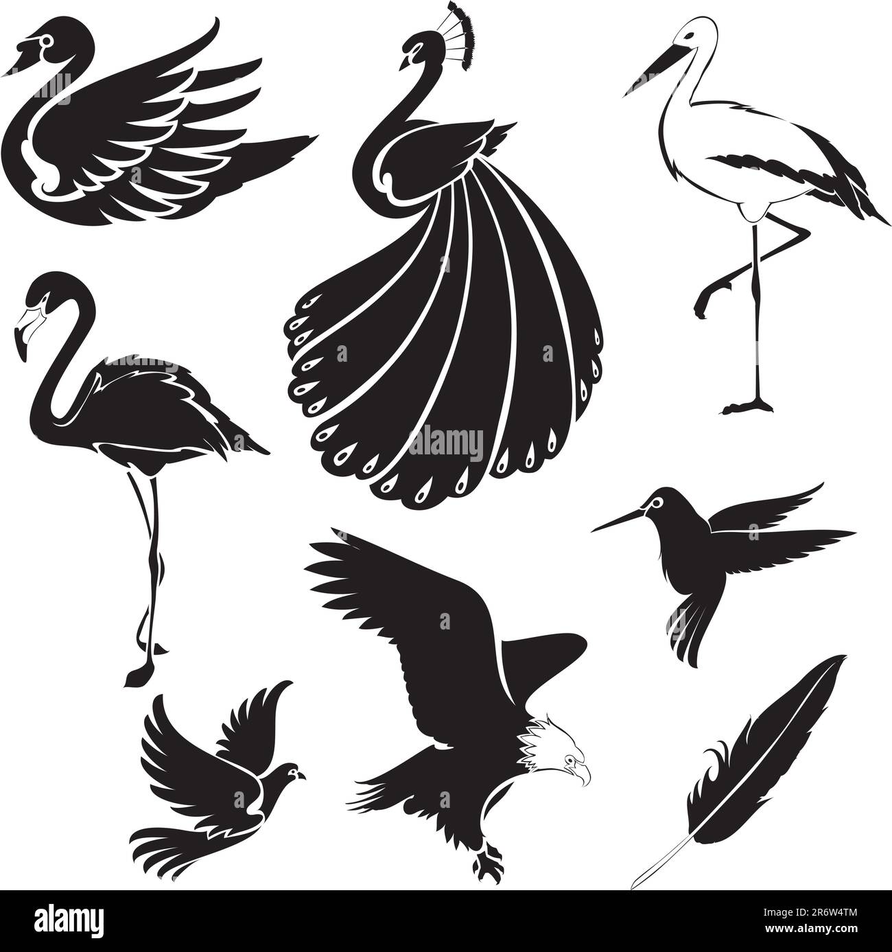 Careful bird Stock Vector Images - Alamy
