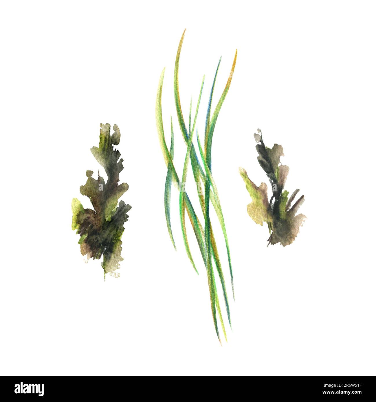 Green blades of grass and brown and green forest moss. Watercolor ...