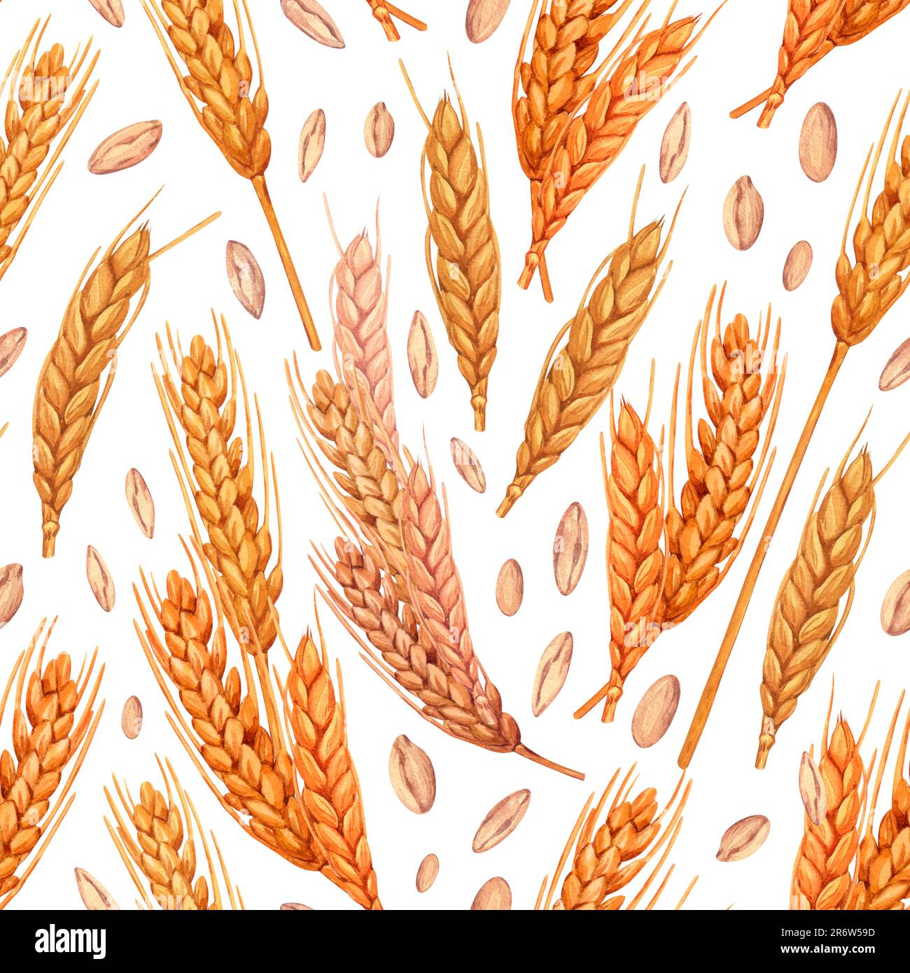 Seamless wheat spikelet pattern. Watercolor herbal background with ...