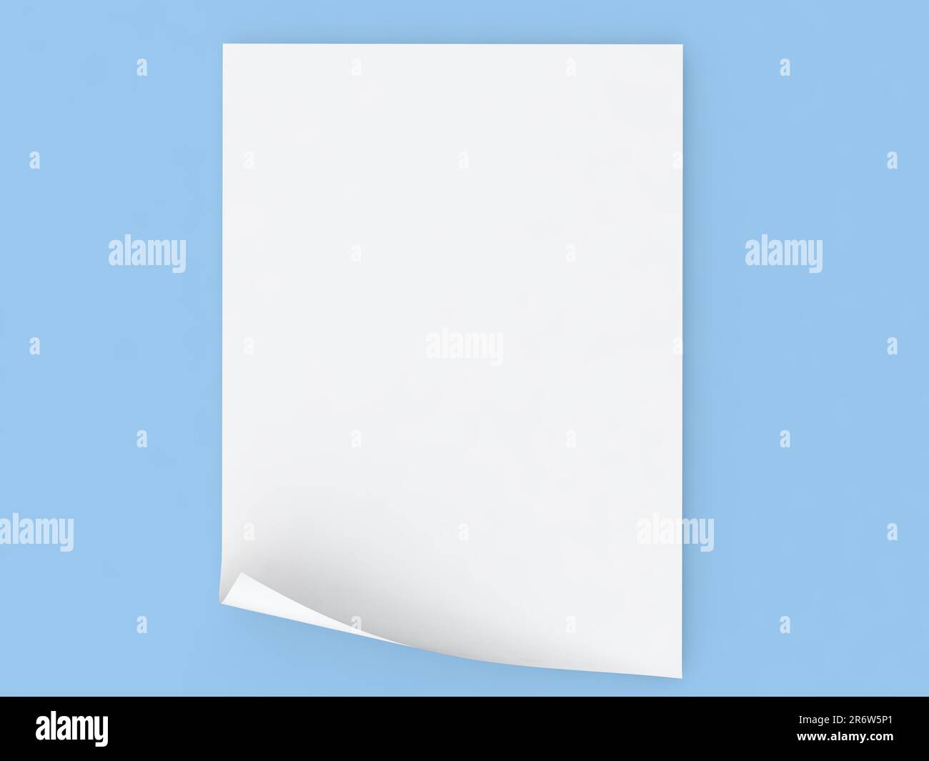A white sheet of paper with a curved edge in A4 size on a blue ...