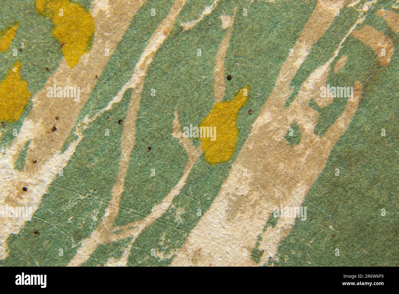 green background of old paper closeup Stock Photo - Alamy