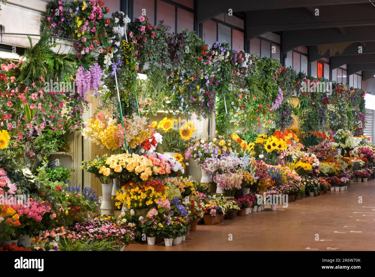 Flower market, Ventimiglia, Italian Riviera, Liguria, Italy Stock Photo ...
