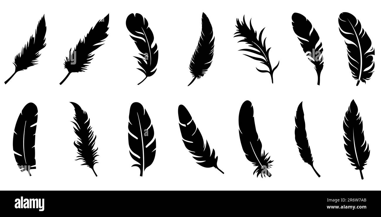 Feather icons. Set of black feather icons isolated on white background ...