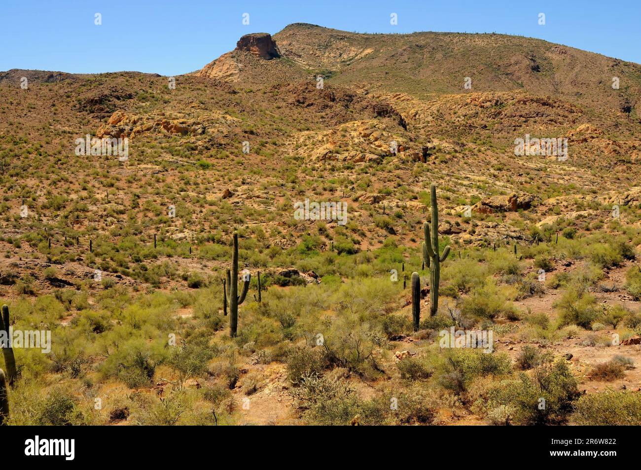 Apache trail Sonora desert Arizona mounntains and cliffs Stock Photo ...
