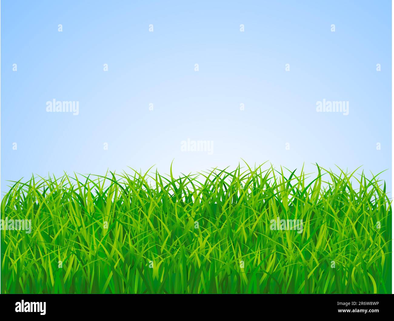 Green grass close up Stock Vector Images - Alamy