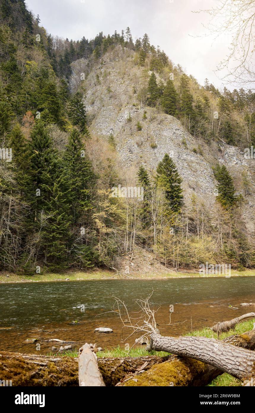 Photo of Dunajec River in Pienin Mountains, Poland Stock Photo - Alamy