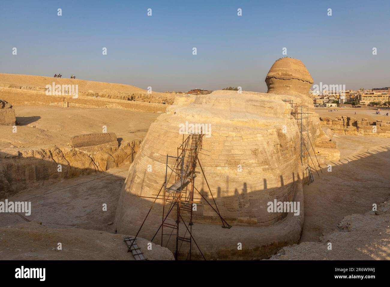 Rear view of the Great Sphinx of Giza, Cairo Stock Photo - Alamy