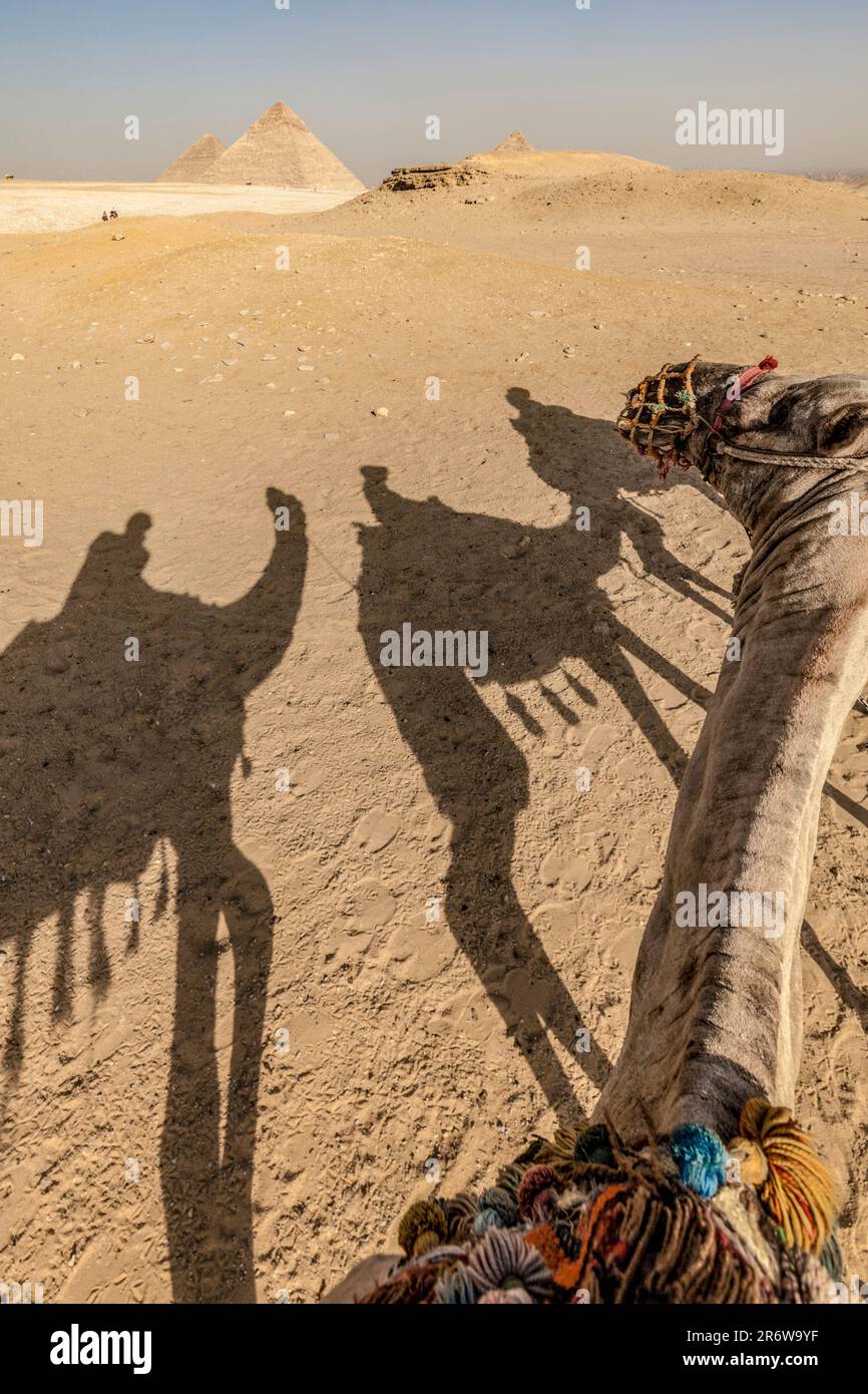 Shadows cast on the sand of tourists riding camels near the pyramids ...