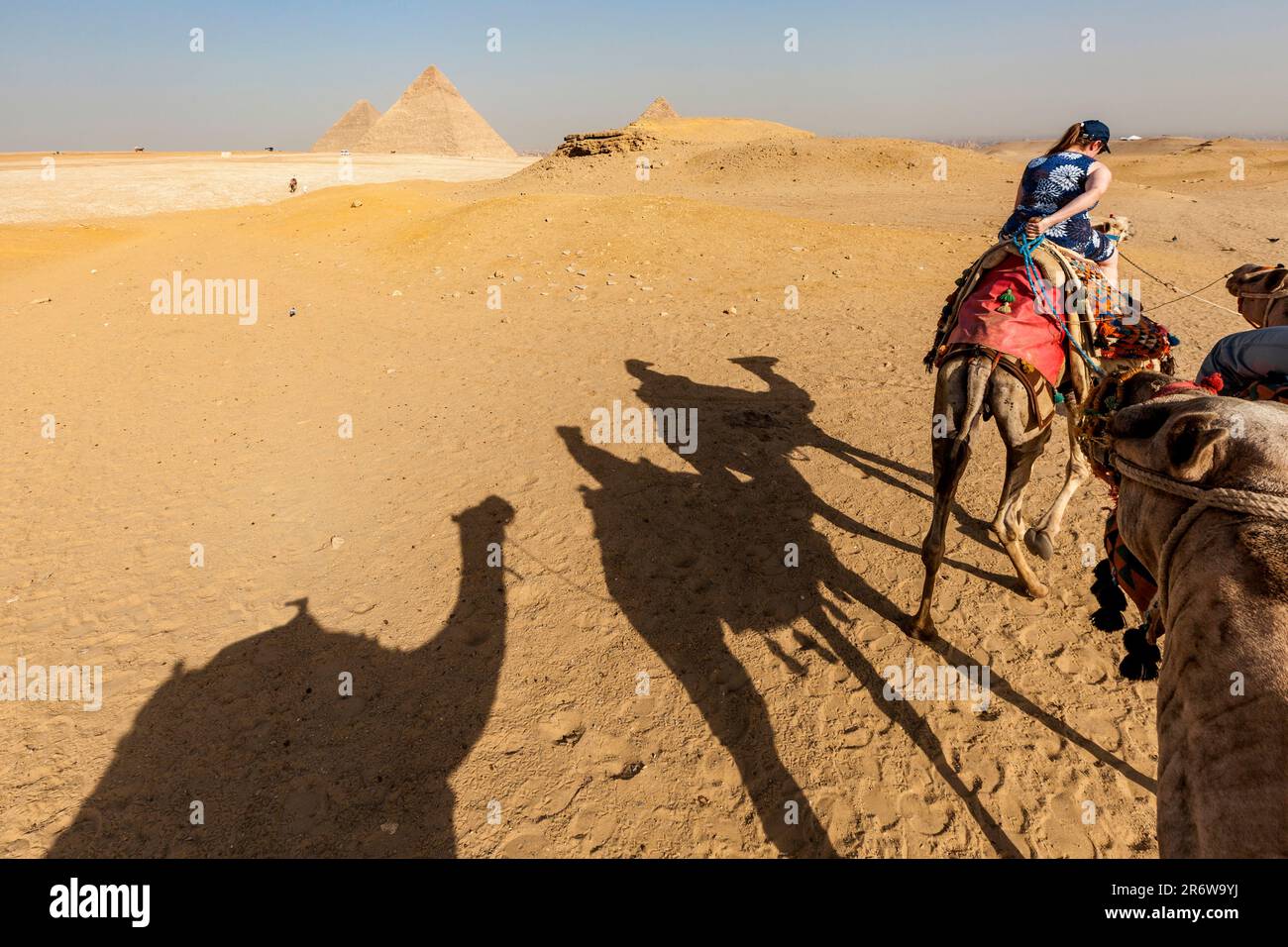 Camels riding at pyramids desert hi-res stock photography and images ...
