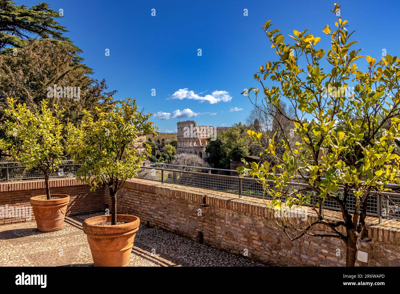 The Colosseum seen from a balcony in the Farnese Gardens , Palatine ...