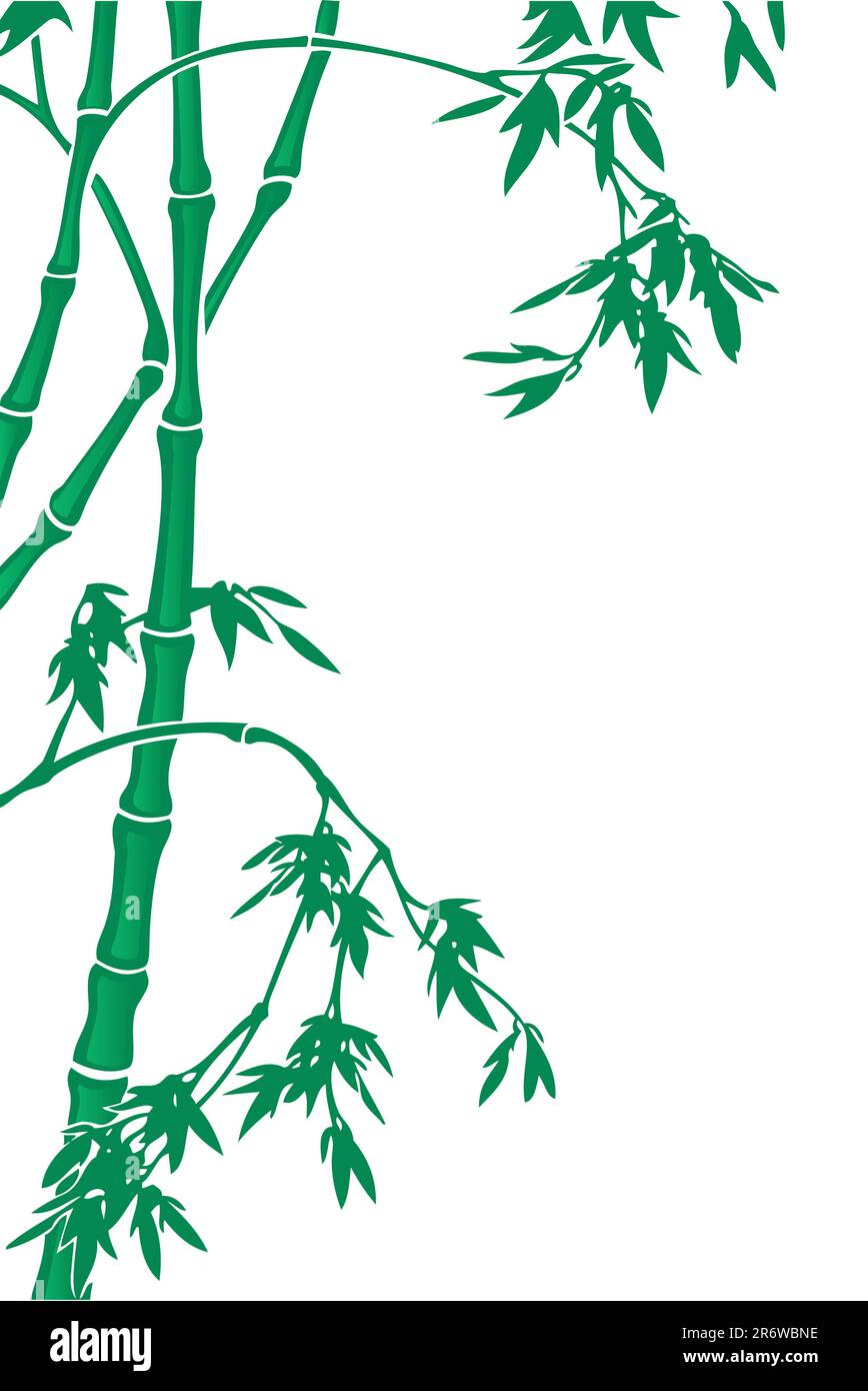 vector illustration of bamboo Stock Vector Image & Art - Alamy