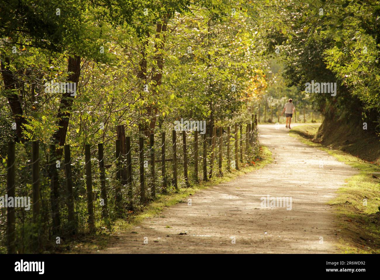 Paved dirt path hi-res stock photography and images - Alamy