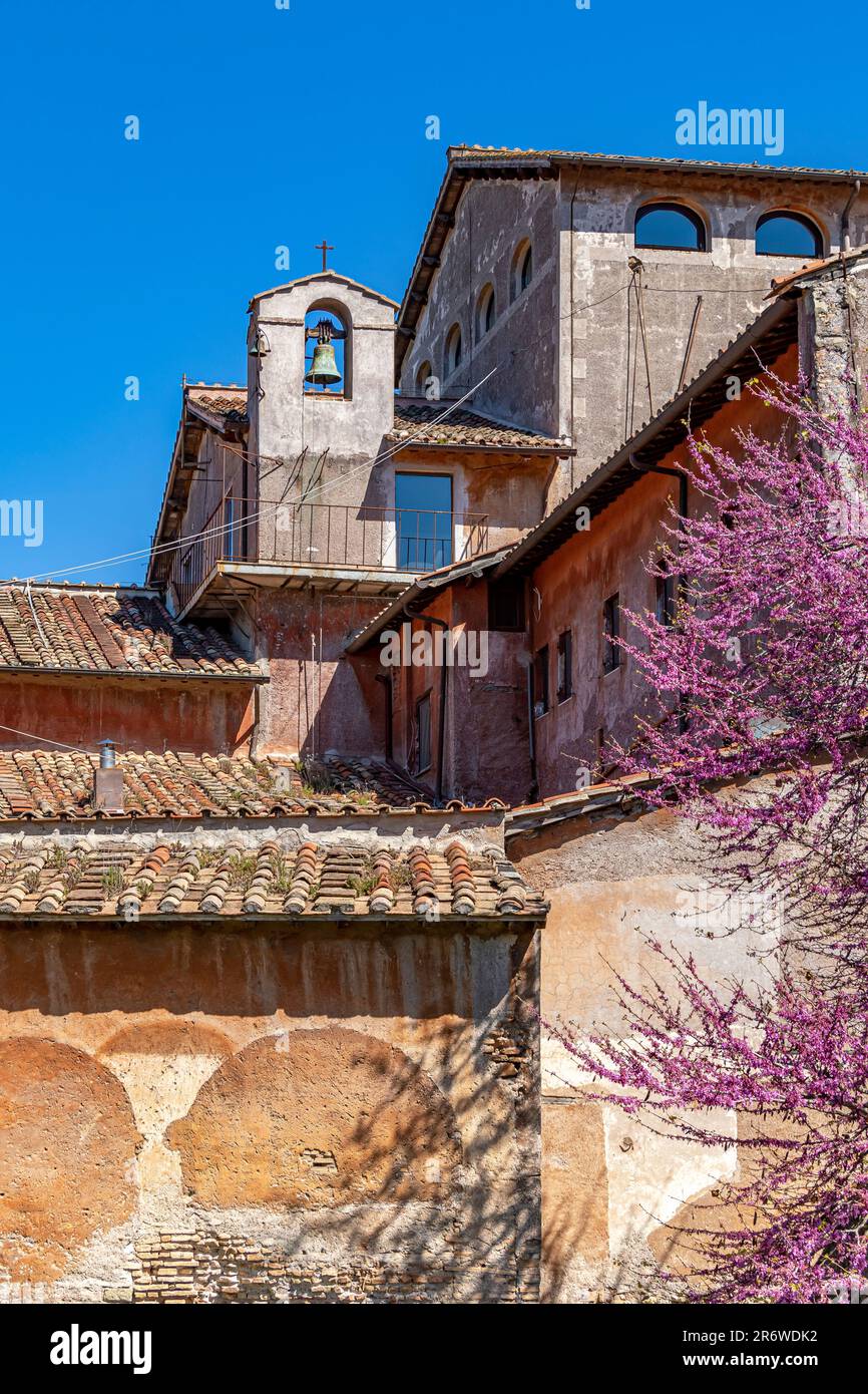 Rome jacaranda tree hi-res stock photography and images - Alamy
