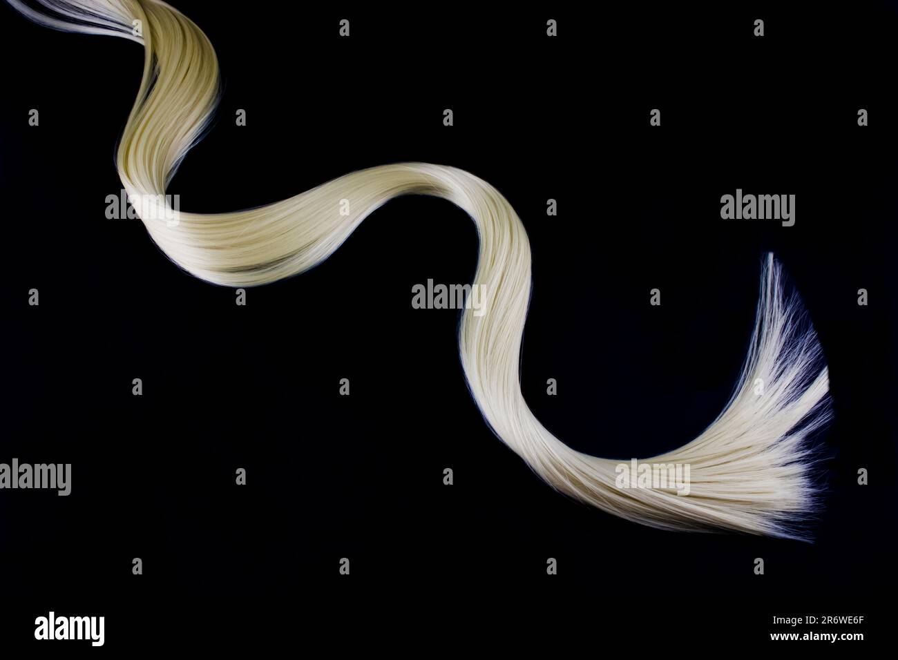 Blond hair,Lock of hair Stock Photo - Alamy