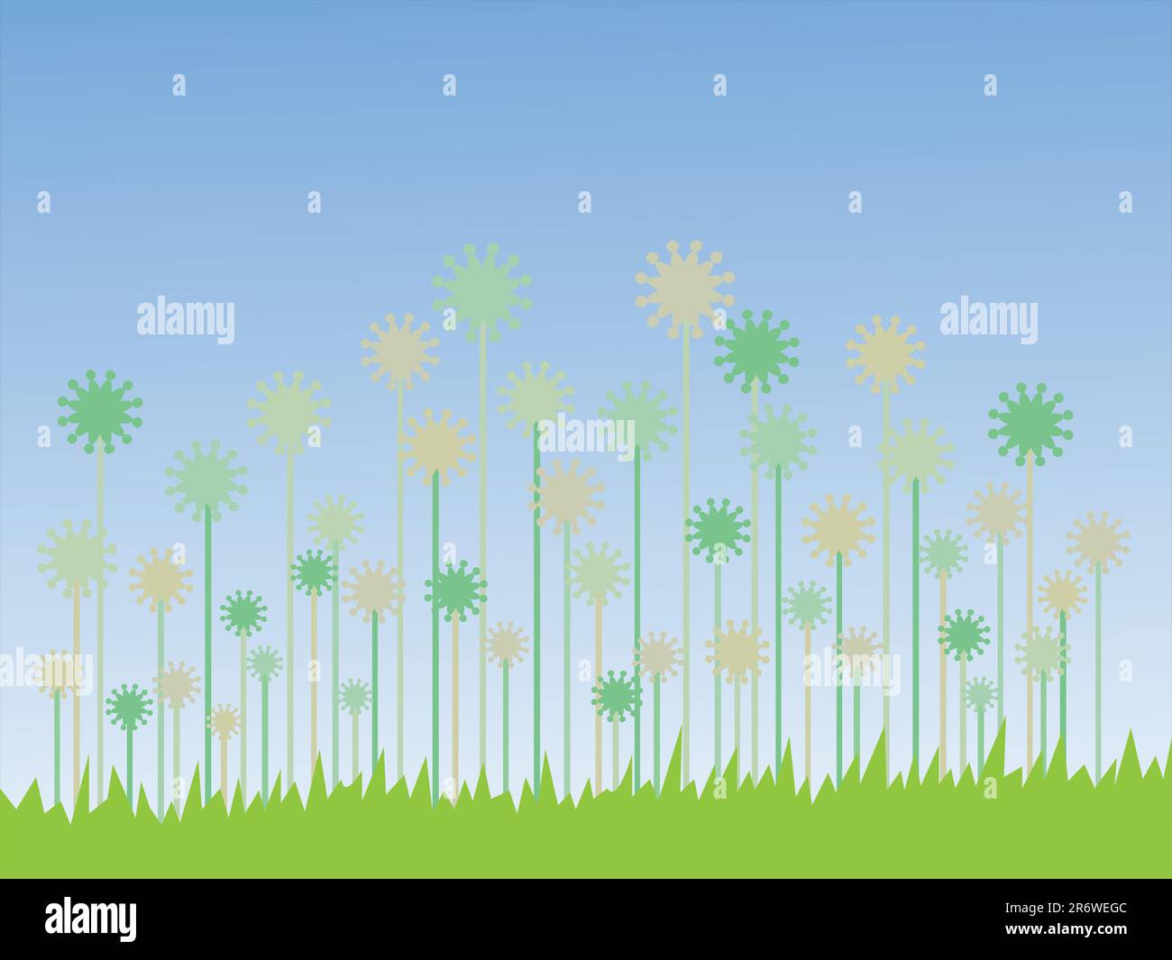 vector illustration from a field of flowers Stock Vector Image & Art ...