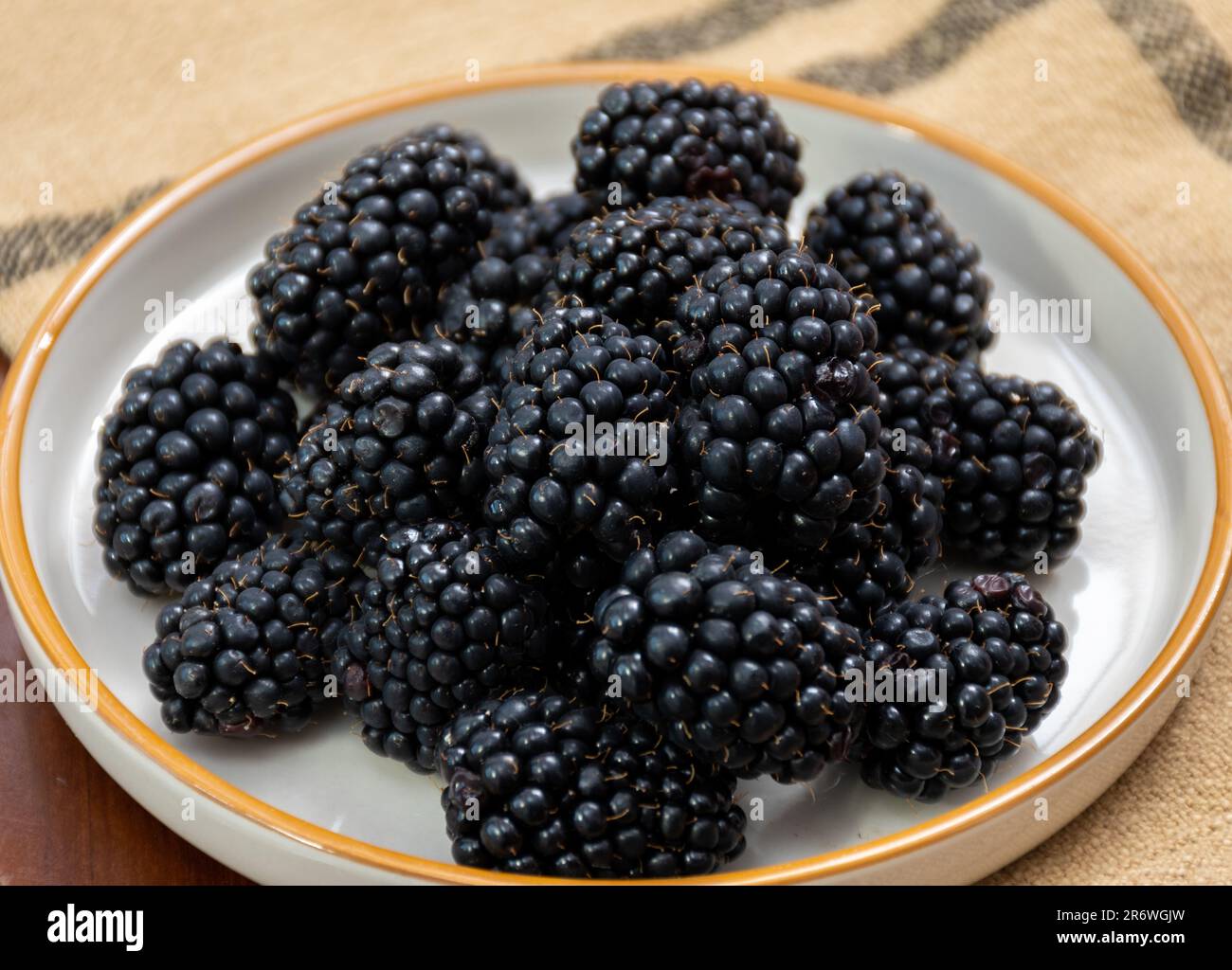 Fresh ripe black bramble blackberries new harvest Stock Photo - Alamy