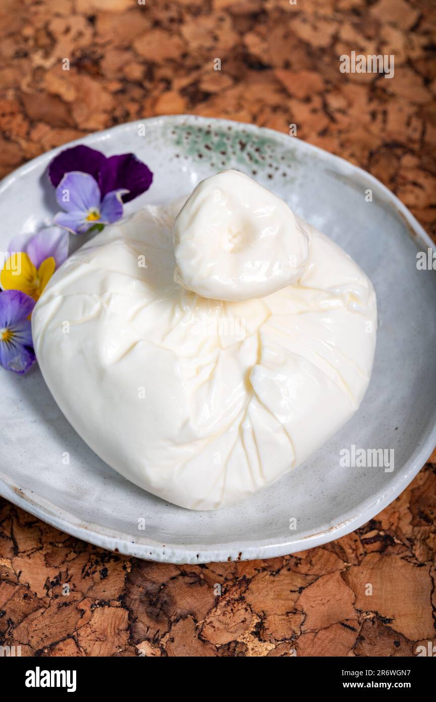 Fresh handmade soft Italian cheese from Puglia, white ball of burrata ...