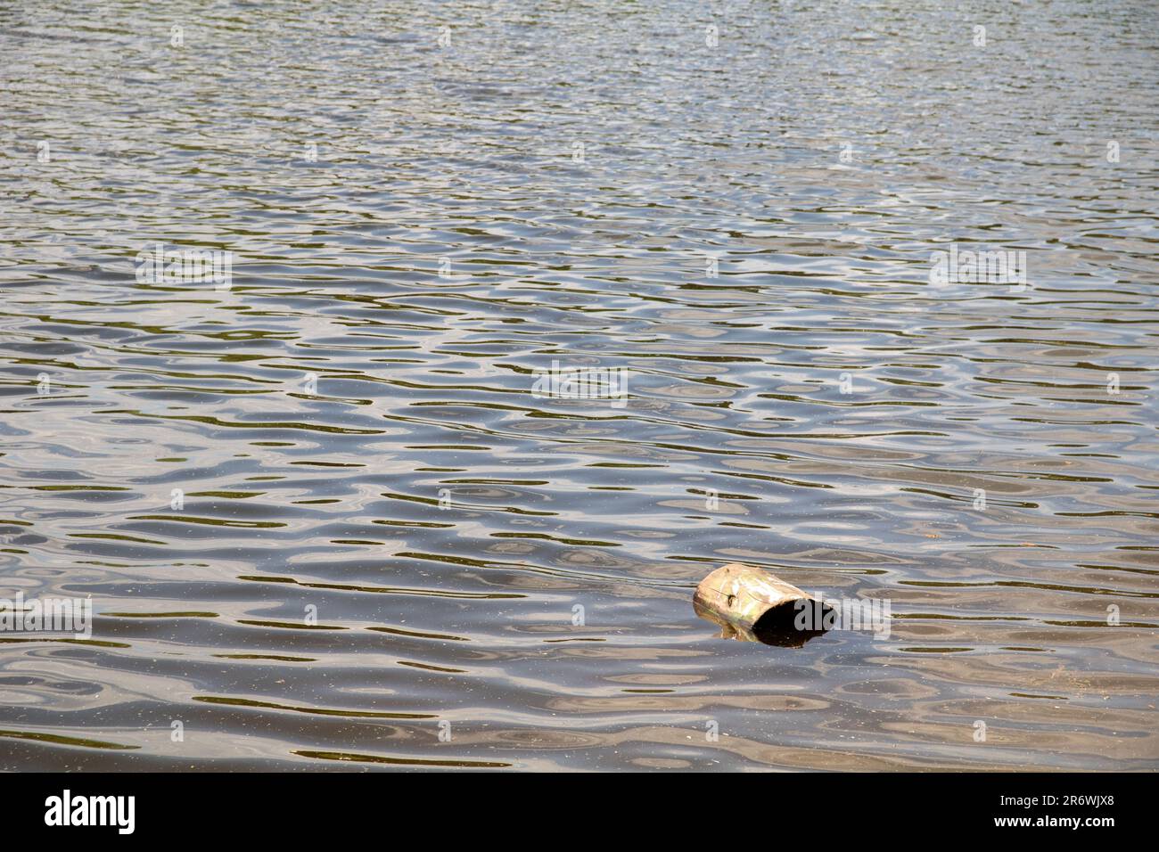 Floating water calm scene hi-res stock photography and images - Alamy