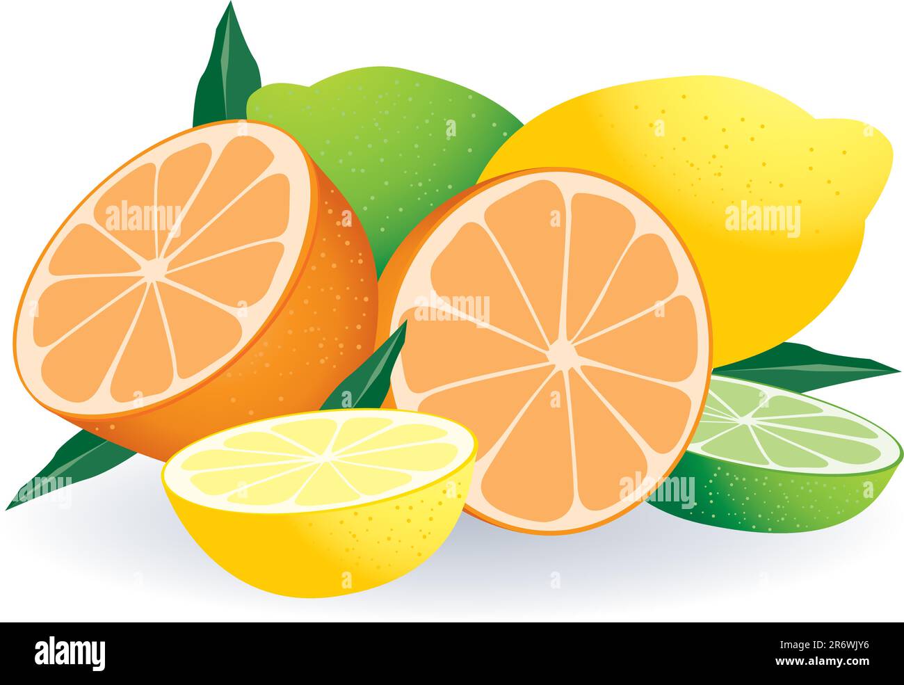 Limes Stock Vector Images - Alamy