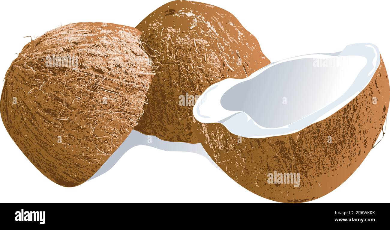 Vector illustration of coconut halves Stock Vector Image & Art - Alamy