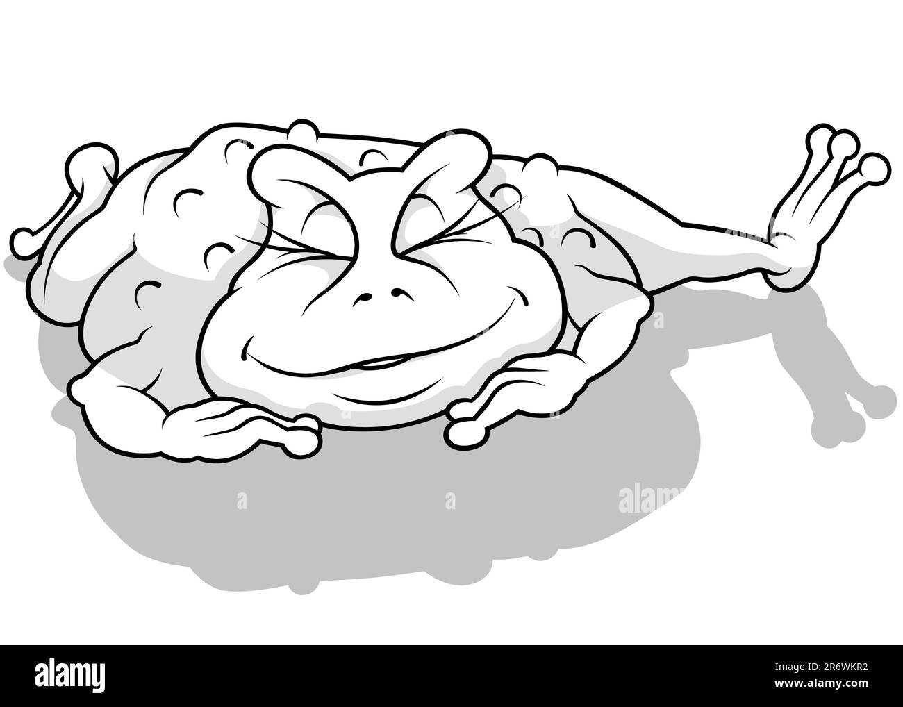 Drawing of a Frog Sleeping on the Ground Stock Vector Image & Art - Alamy