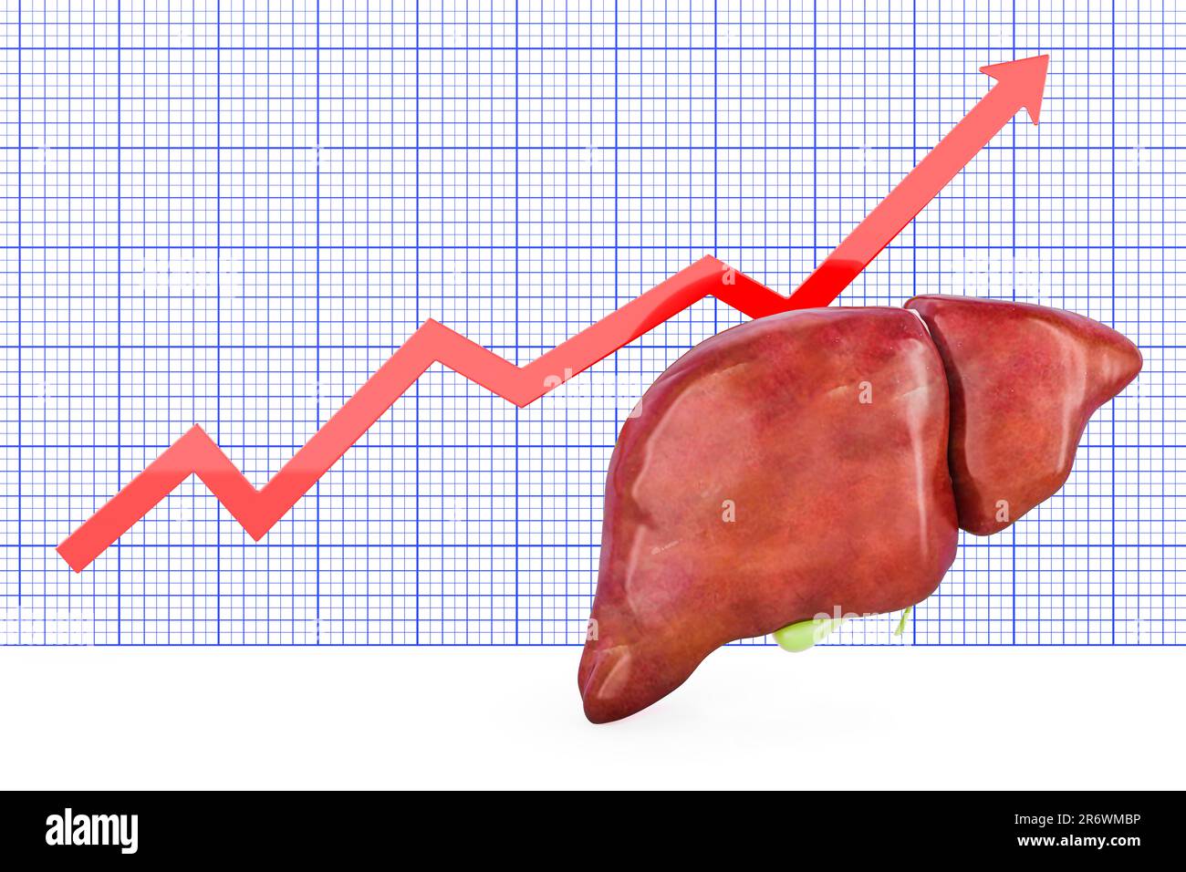 Healthy human liver with gallbladder with growing chart, 3D rendering ...