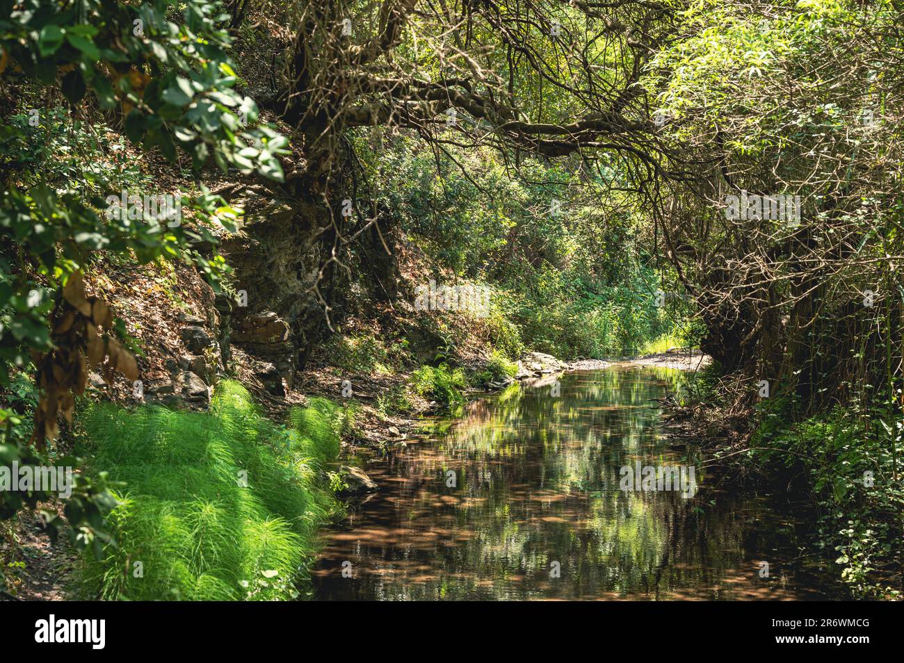 Hope springs hi-res stock photography and images - Alamy