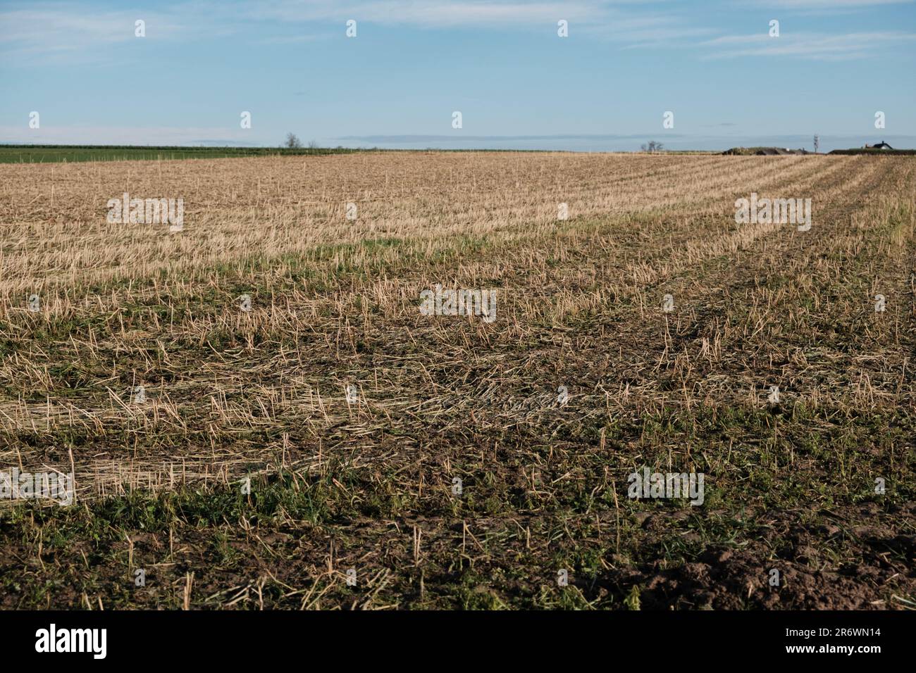 This stock photo depicts a barren field, with a landscape of dry, brown ...