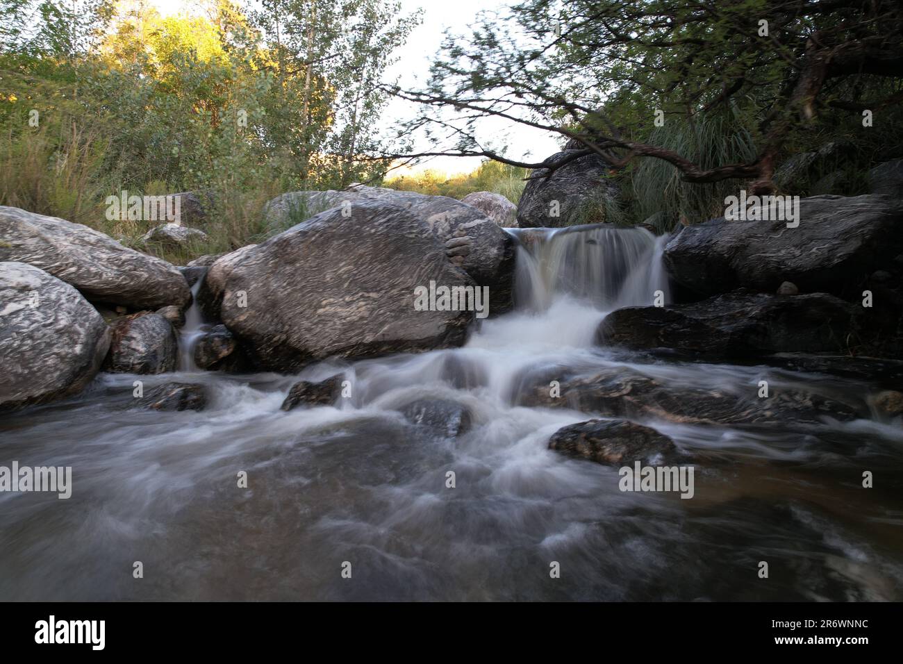 A small waterfall cascading over large rocks surrounded by lush trees ...