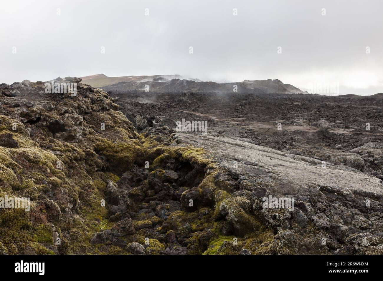 Apocalyptic smoking black landscape of Krafla crater with some alive ...