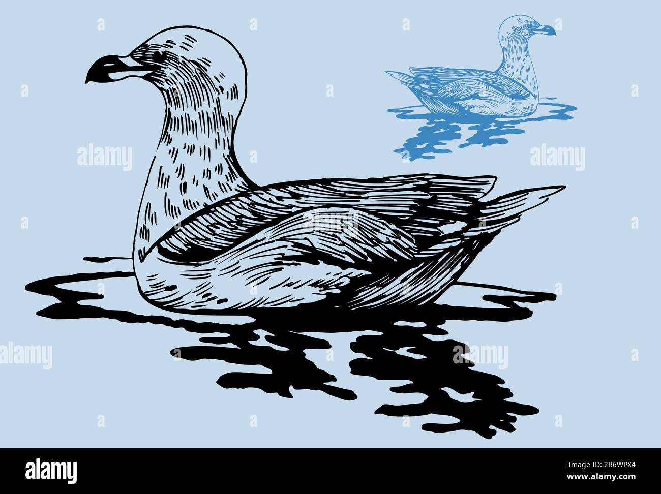 Hand drawn image of a floating seagull Stock Vector Image & Art - Alamy