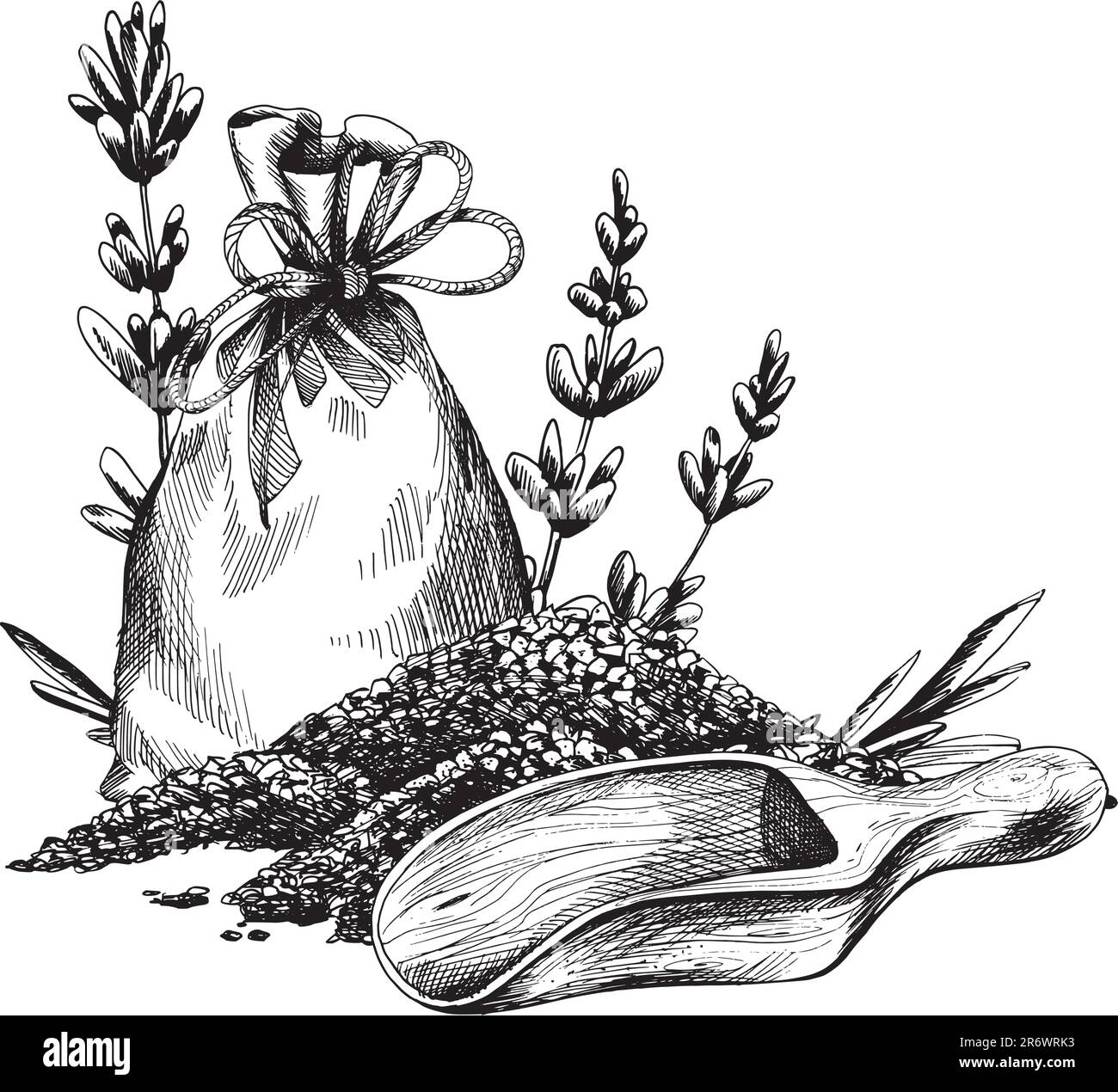 Skin canvas Black and White Stock Photos & Images - Alamy