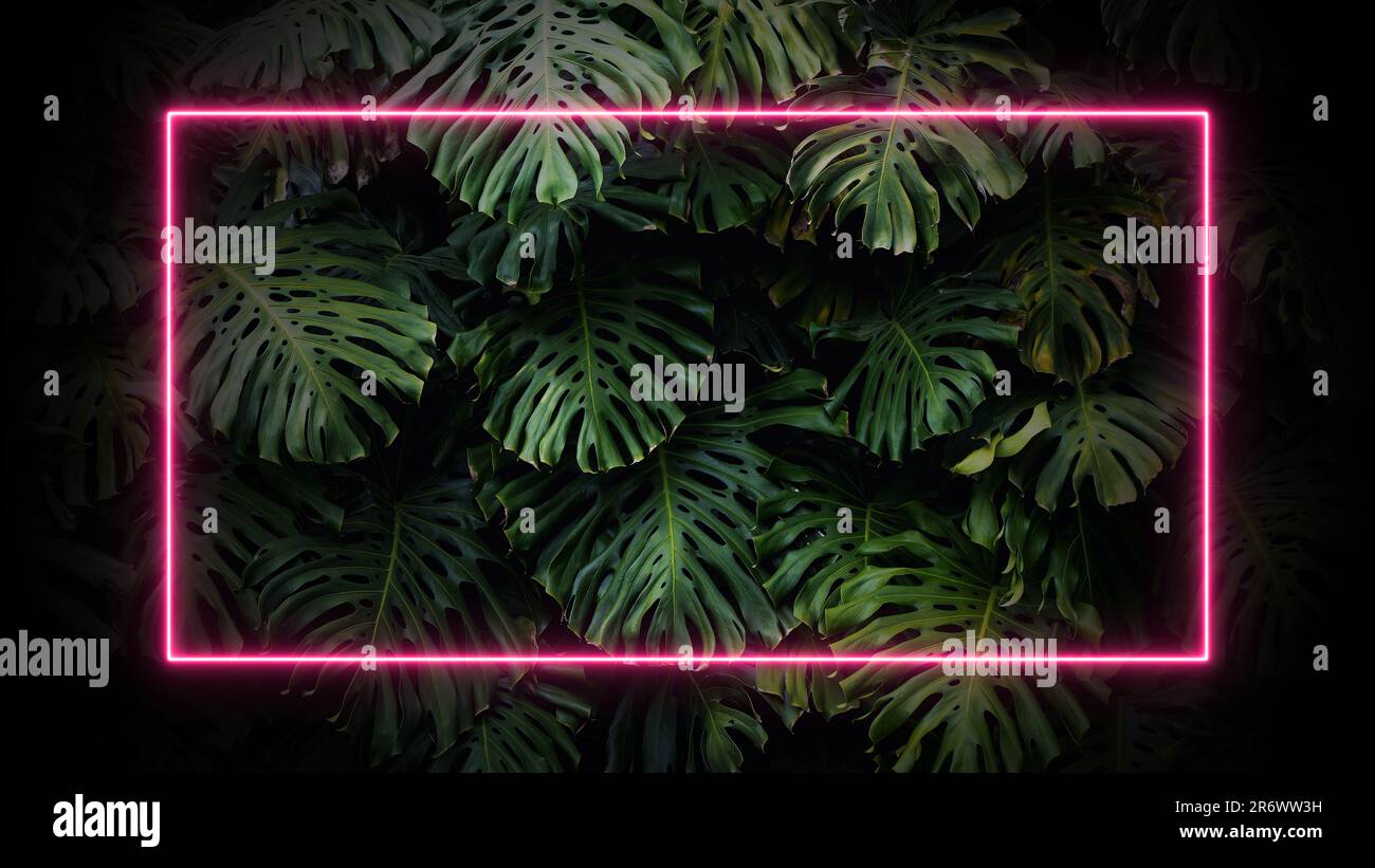Neon 80s beach hi-res stock photography and images - Alamy