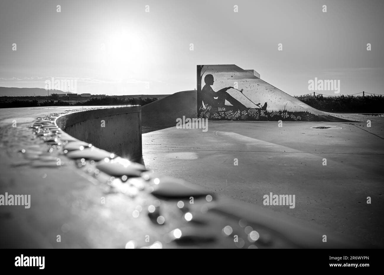 Two skateboarders enjoy an exhilarating experience as they ride down a ...