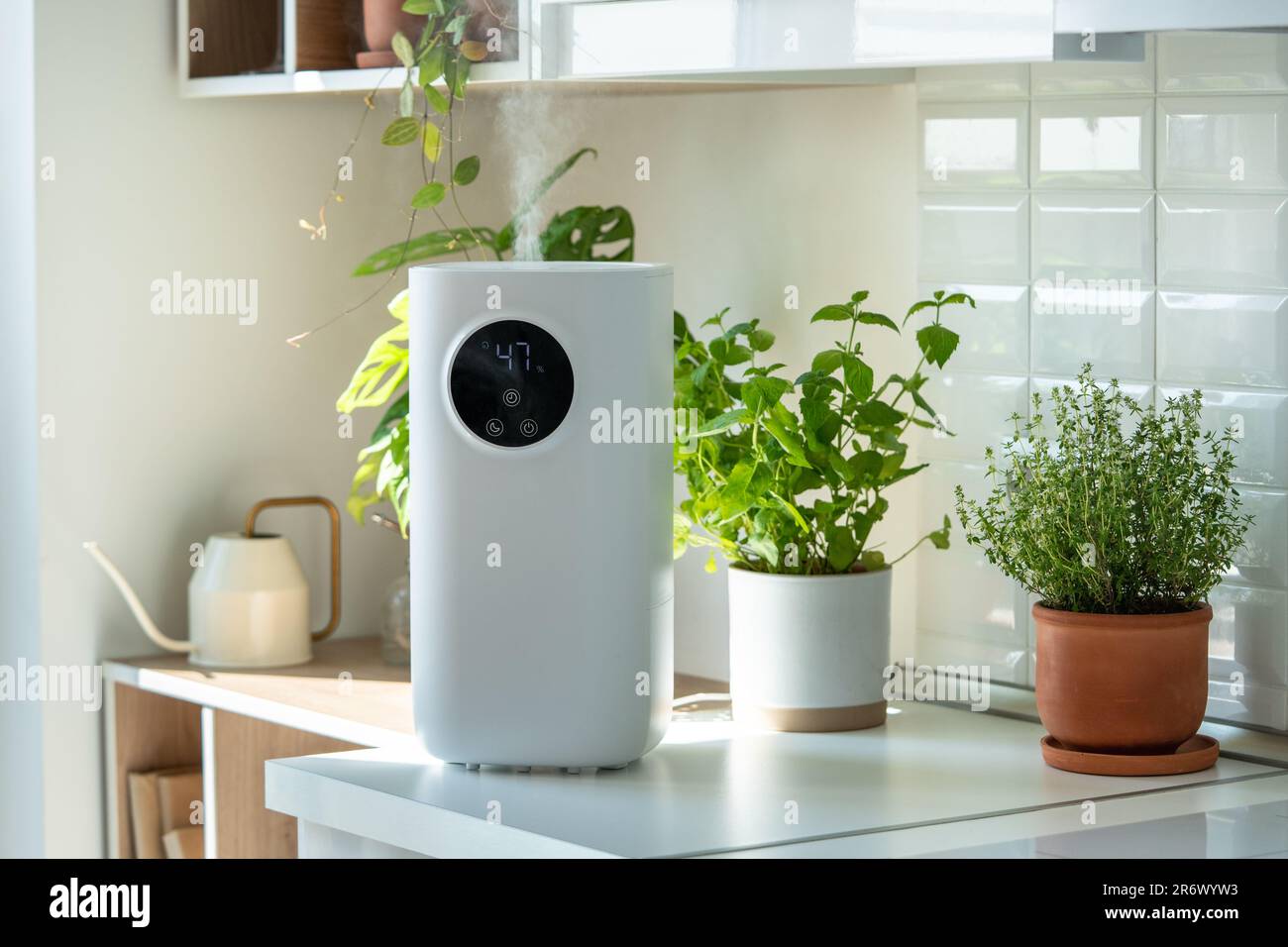 Modern humidifier at home, moistens dry air surrounded by indoor plant ...