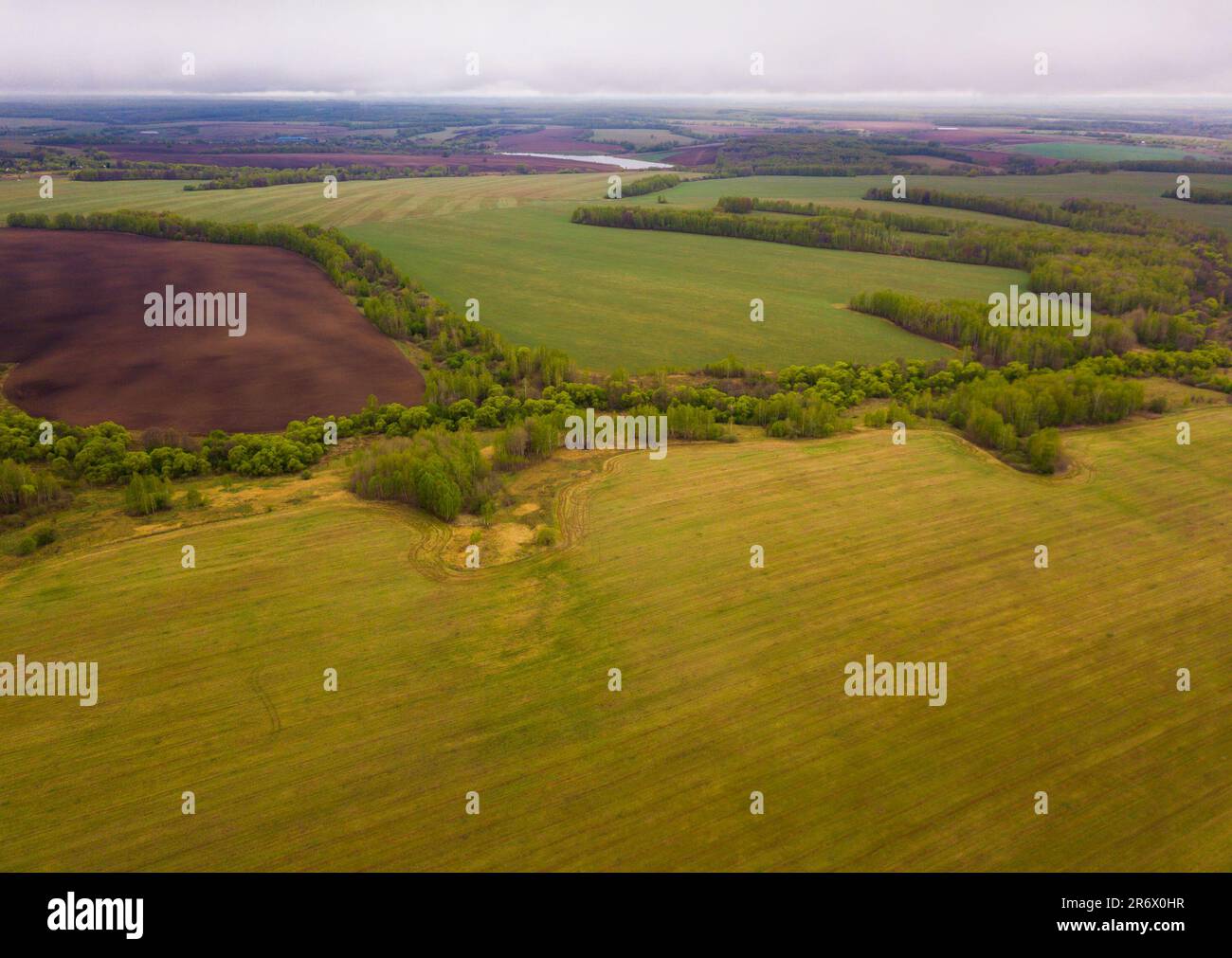 Fields and grasslands of Central Russia Stock Photo - Alamy