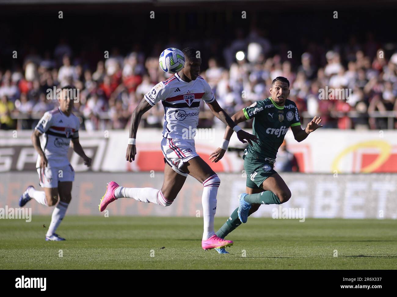 SP - SAO PAULO - 06/11/2023 - BRAZILEIRO A 2023, SAO PAULO X PALMEIRAS ...