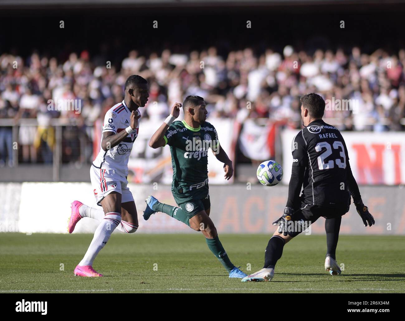 SP - SAO PAULO - 06/11/2023 - BRAZILEIRO A 2023, SAO PAULO X PALMEIRAS ...