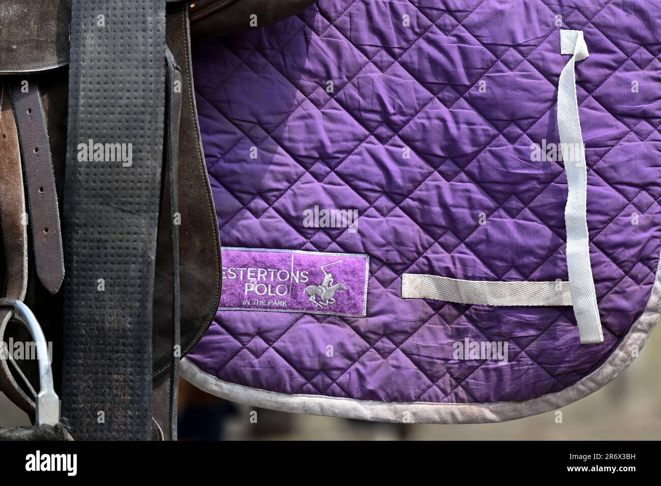 Polo pony lines hi-res stock photography and images - Alamy